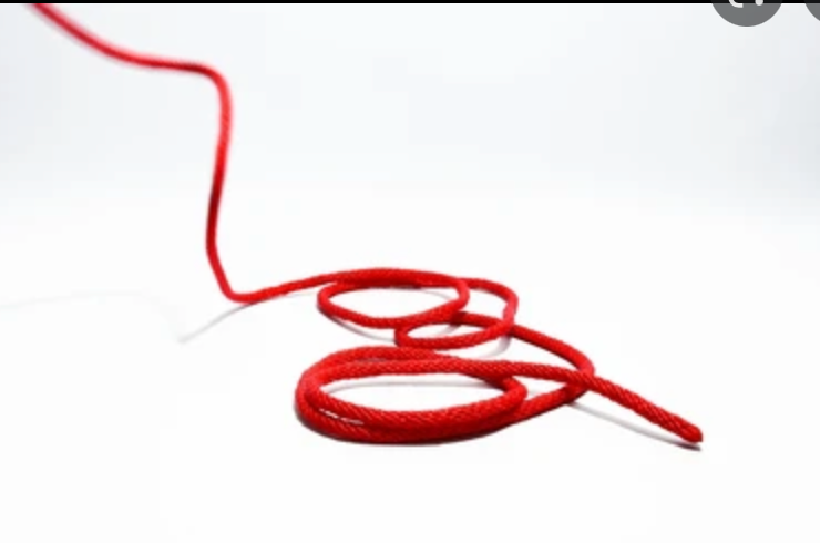 DZ STRINGS – Page 3 – LUCKY VIDA